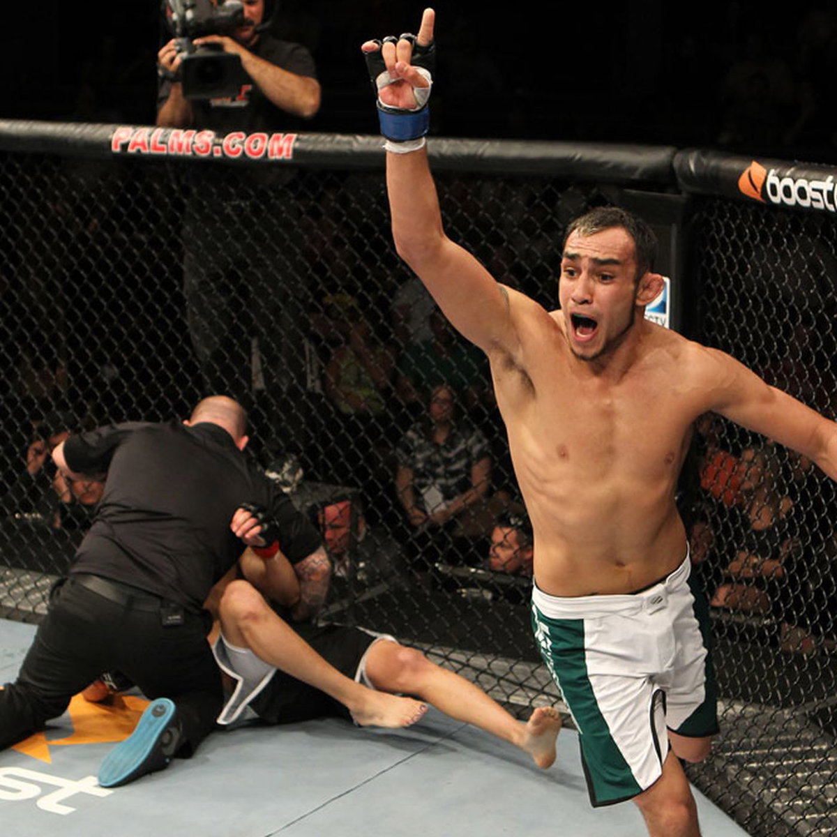 "Train Side by Side" - Tony Ferguson Offers to Help Brock Lesnar ...