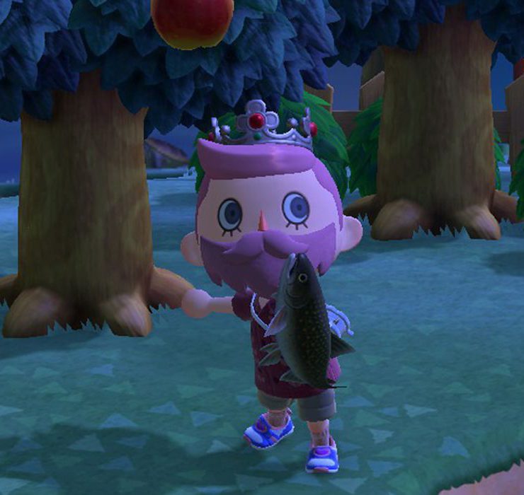 Animal Crossing New Horizons: All You Need To Know About Summer Shell ...
