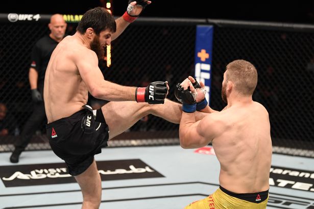 Magomed Ankalaev Calls Out Shogun Rua and Anthony Smith After His KO ...