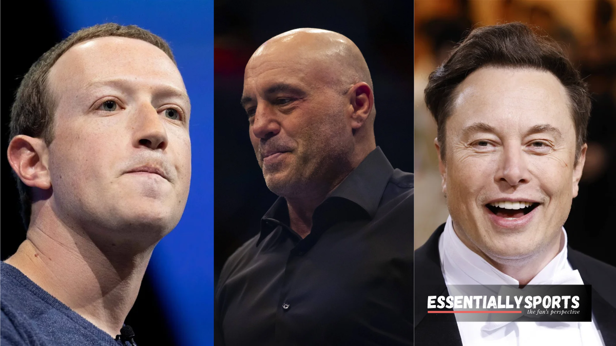 Everything You Need to Know About Elon Musk Reigniting Cage Fight Interest With Mark Zuckerberg ...