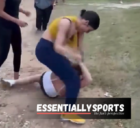 VIDEO: Ferocious Ladies Duke it Out MMA-Style in Shocking Public Park ...