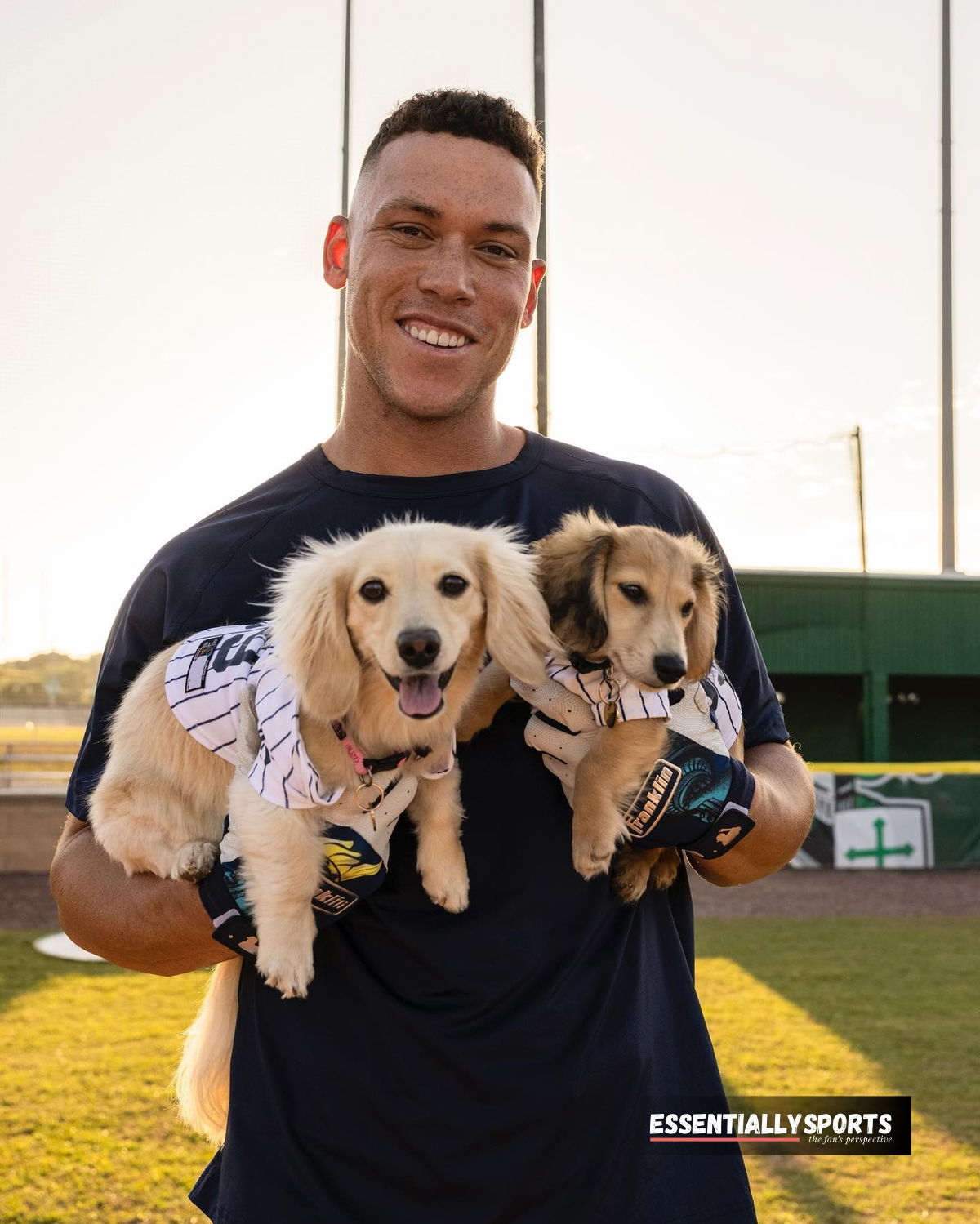 Yankees News: Aaron Judge Calls on Legendary ‘The Sopranos’ Actor to ...