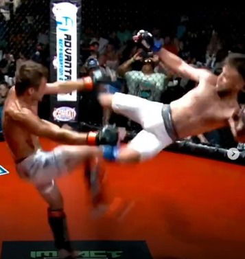 “Stevie Wonder Could’ve Dodged That” - Insane Spinning-Kick KO Has UFC ...