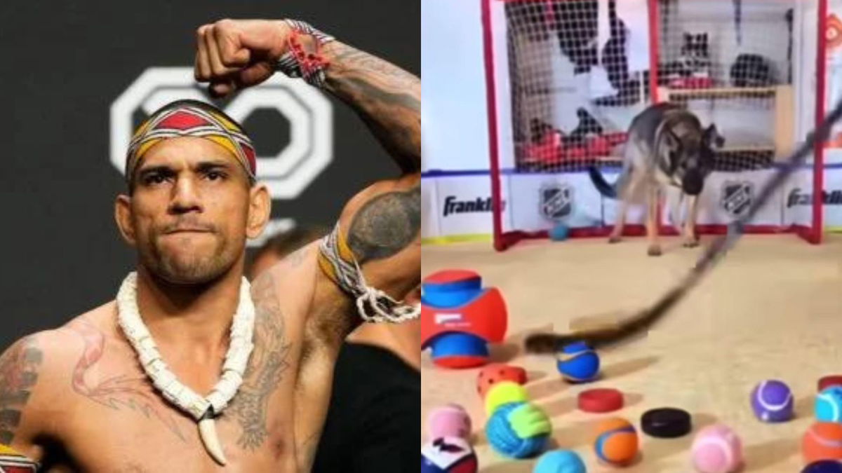 “Is It Because It’s Black?”: Alex Pereira’s Cryptic Instagram Post ...