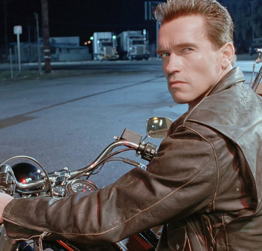The Terminator Arnold