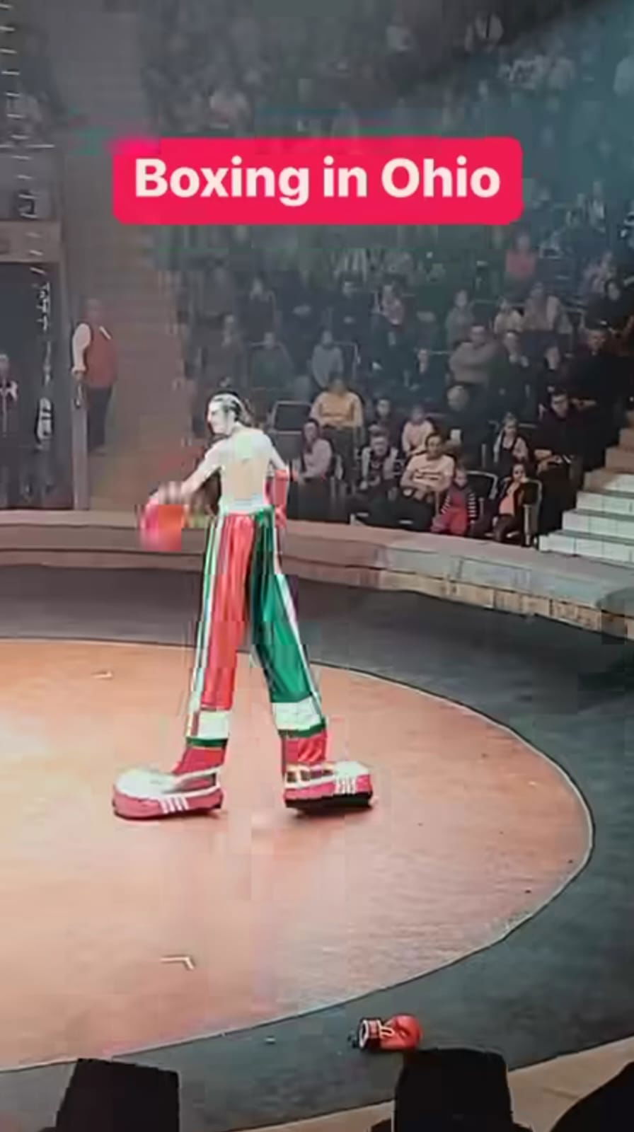 “Better Than Any Jake Paul Fight”: Bizarre Boxing Match in Ohio Takes ...