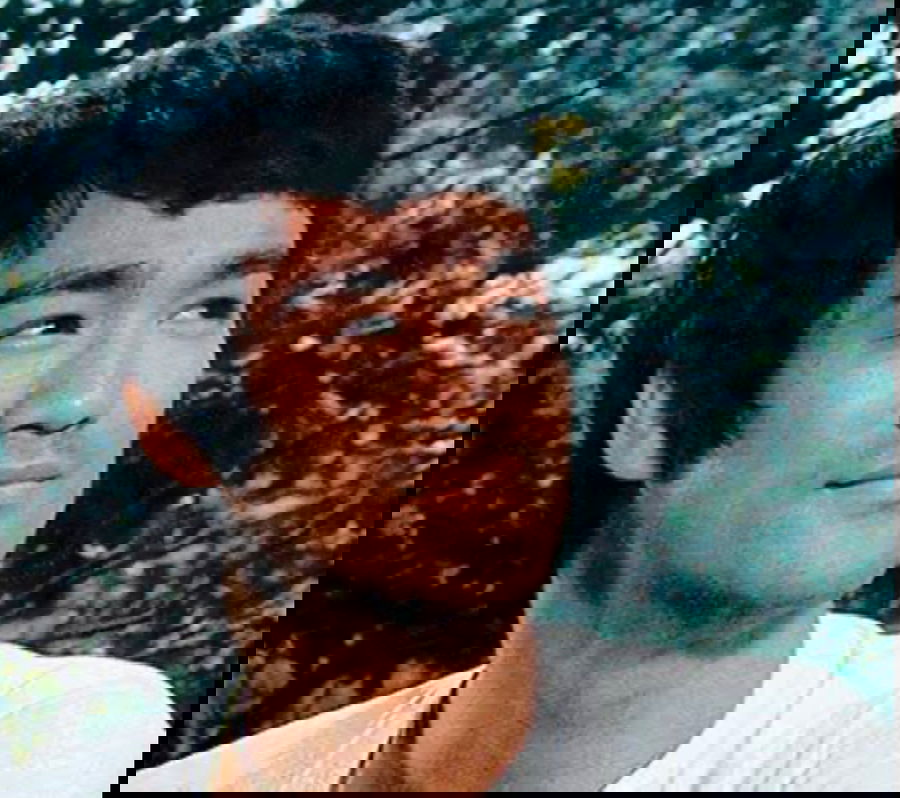 “Cutest Thing I’ve Ever Seen”: Rare Image of Bruce Lee With Son Brandon ...