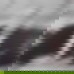 Carl Kiekhaefer Archives - EssentiallySports