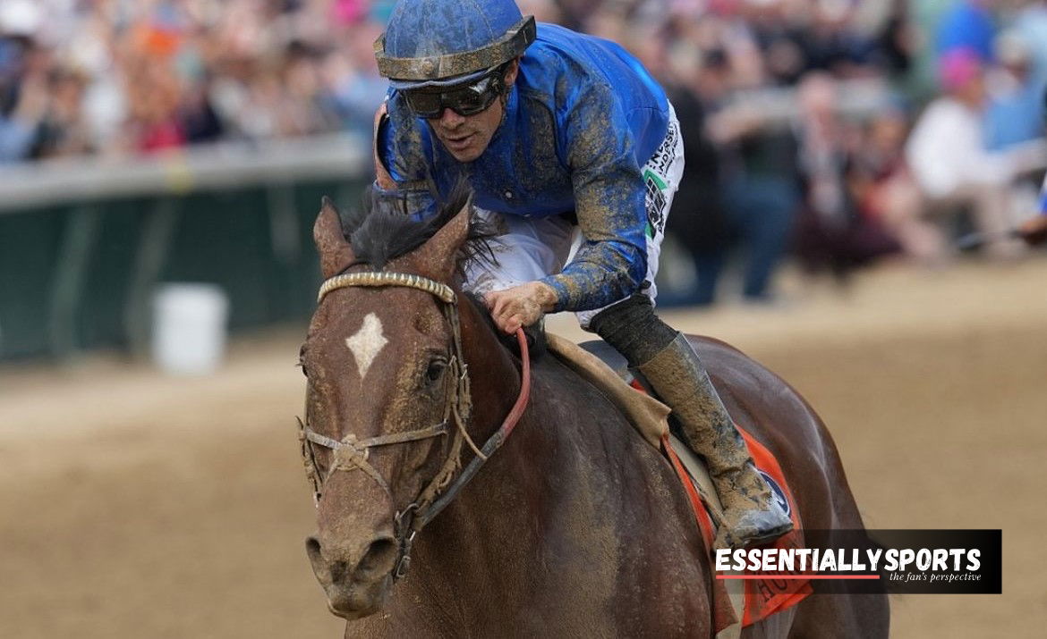 Horse Racing Legends Cody’s Wish, White Abarrio, and More Set to ...