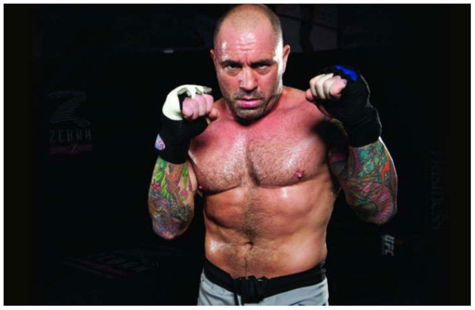 After Avoiding Physical Scuffles For A Decade, Joe Rogan Beat The ...