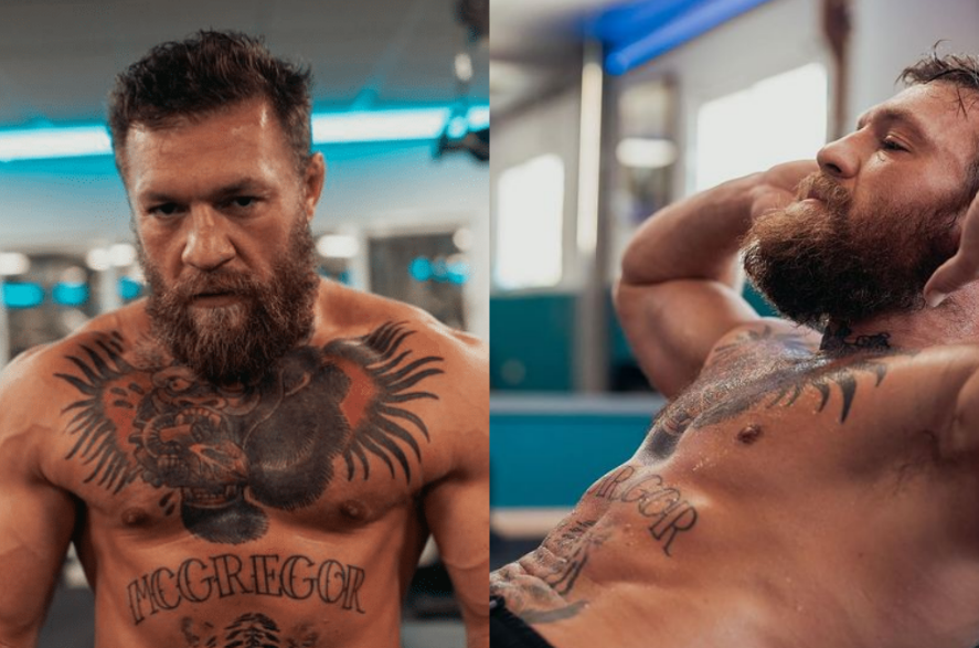 Jacked Conor McGregor’s Diet Plan Tested by Bodybuilder After ...