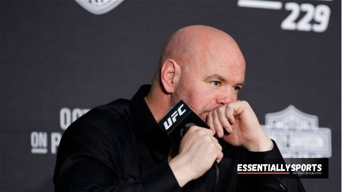 Fans Refute UFC Executive’s Claims on Making the $21 Billion MMA ...