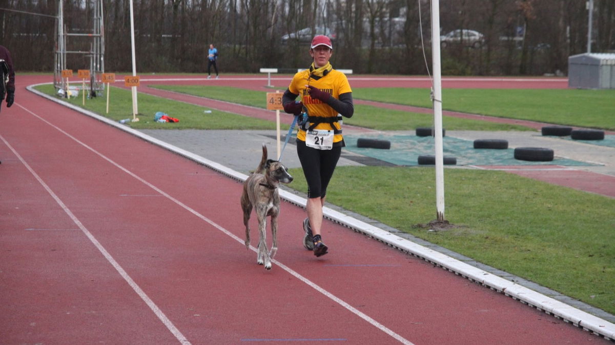 “Can Anyone Be More Stupid”: Athlete Avoids Injury After Person Walks ...