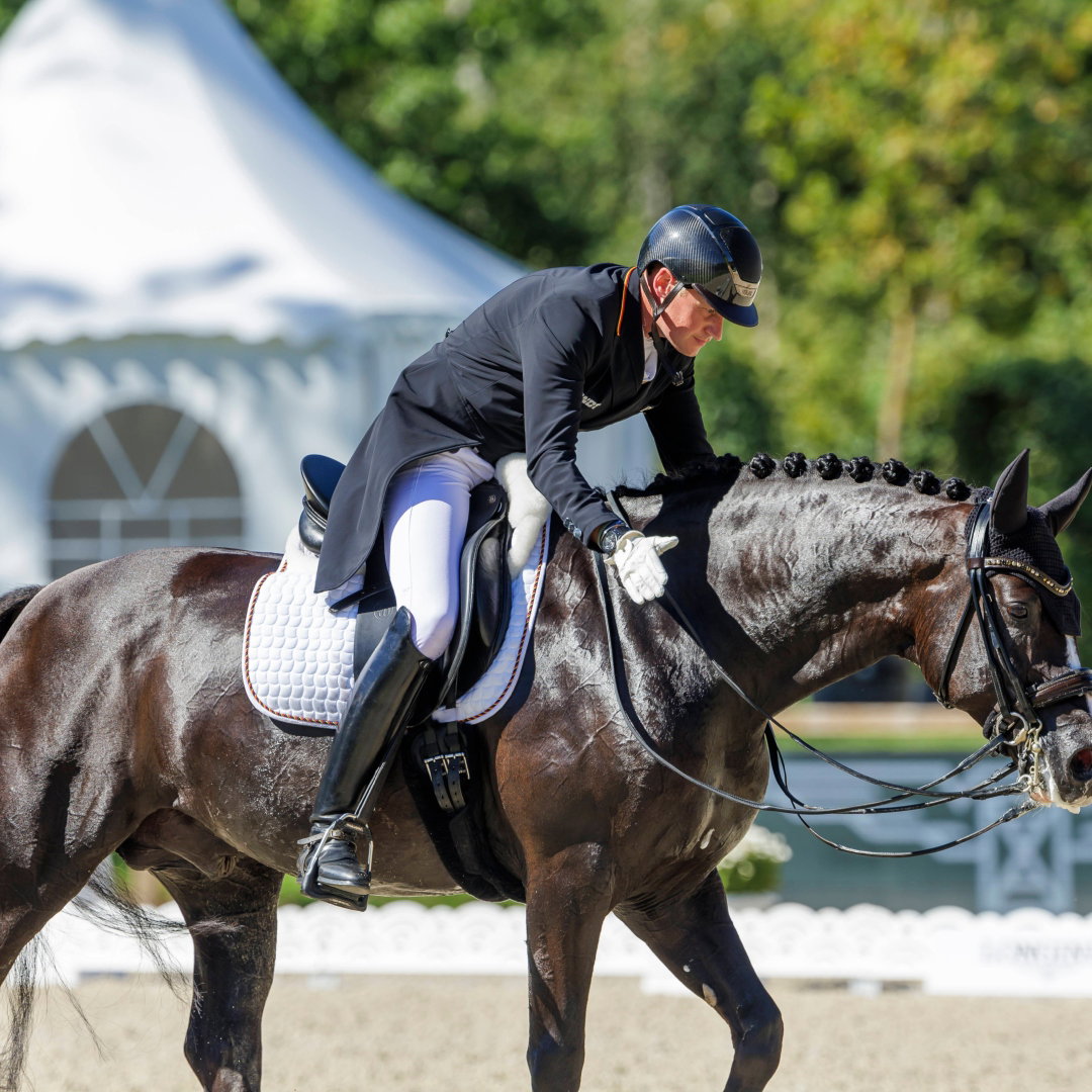 “What a Great Idea”: Equestrian Community Applaud Renowned Horse’s ...