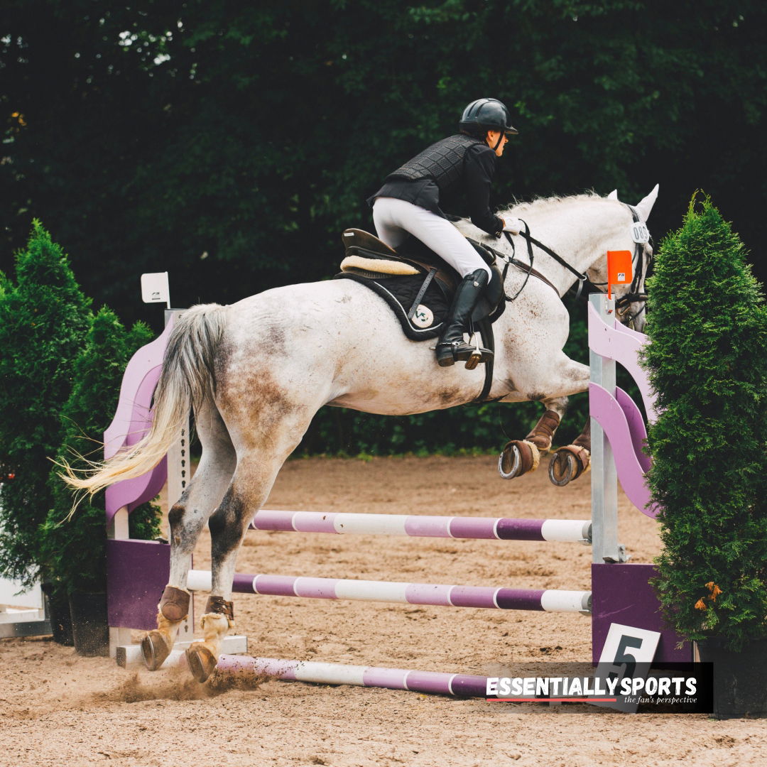 Equestrian World Witness CDI Le Mans Launch 2024 Olympic Year With ...