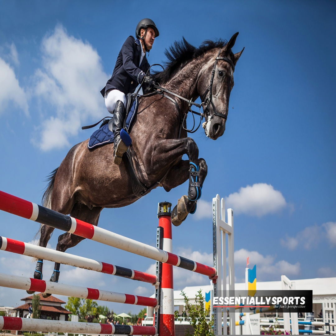 Popular Equestrian Turf Runner Red Knight Retires After Securing First Grade 1 Win at Age 9 ...