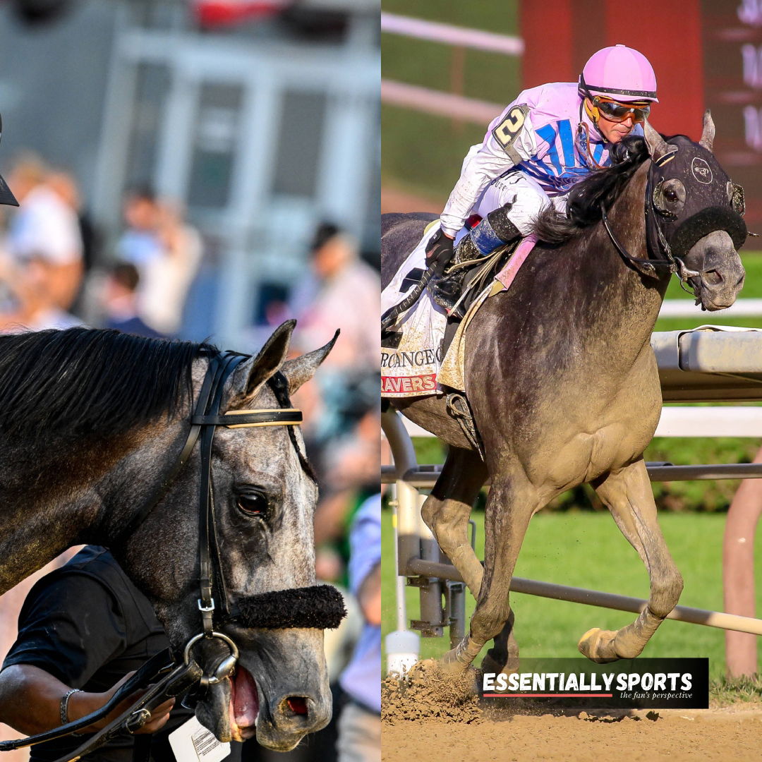 Equestrian World on Edge as Arcangelo Takes Center Stage as Leading ...