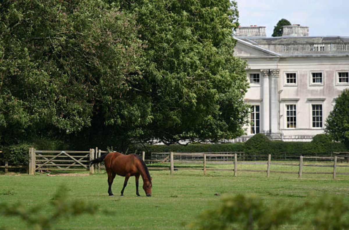 Godolphin’s Veteran Equestrian Trainer Takes a Stroll Around the ...