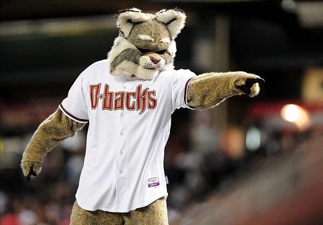 Why Baxter the Bobcat is the Arizona Diamondbacks' Mascot, Not a Snake ...