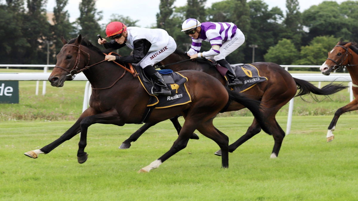 Tragic Loss in the Equestrian World, Champion Rider Passes Away ...