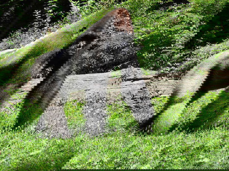 Who Is Keiani Mabe? 22-YO Fitness Sensation Currently Going Viral for ...