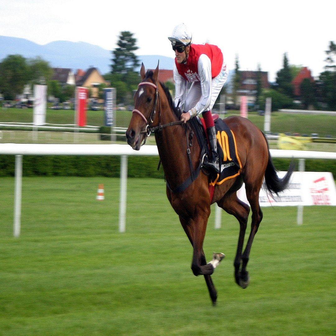 Shattering Equestrian World's Expectations Renowned Horse Seizes ...
