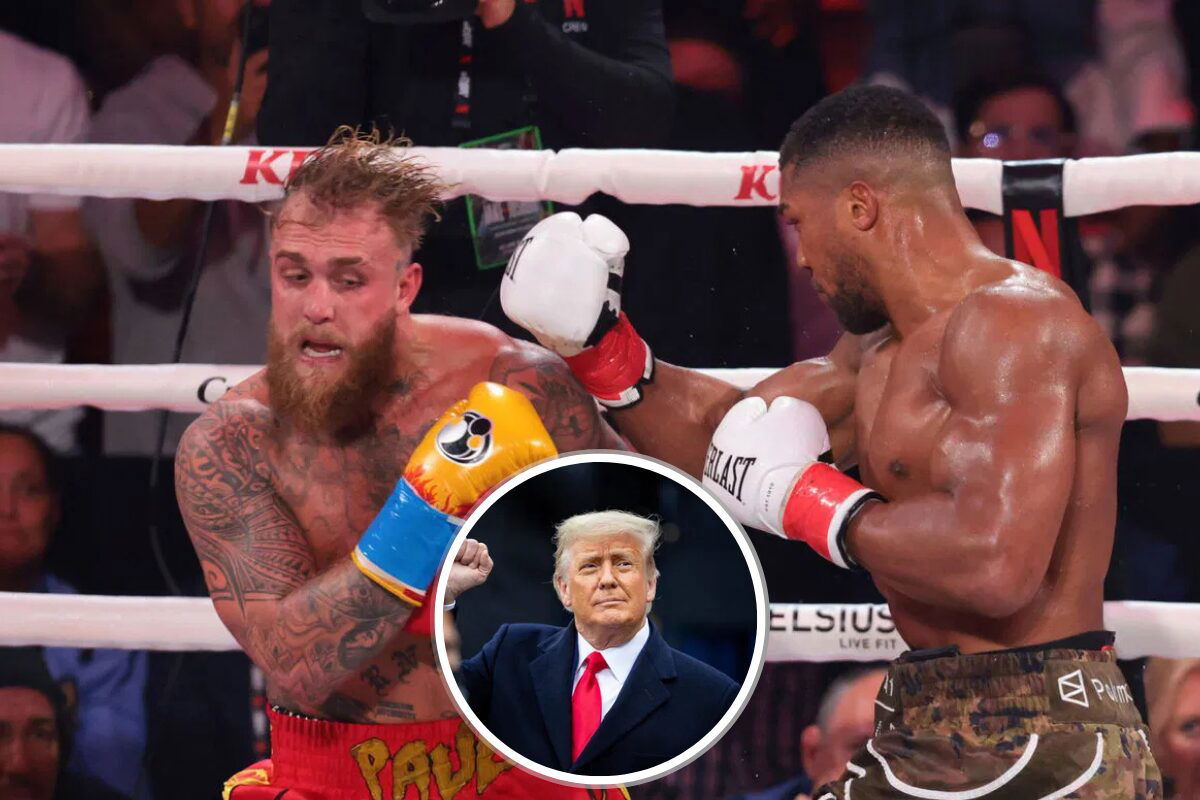 Donald Trump Reacts to Jake Paul Getting Knocked Out by Anthony Joshua ...