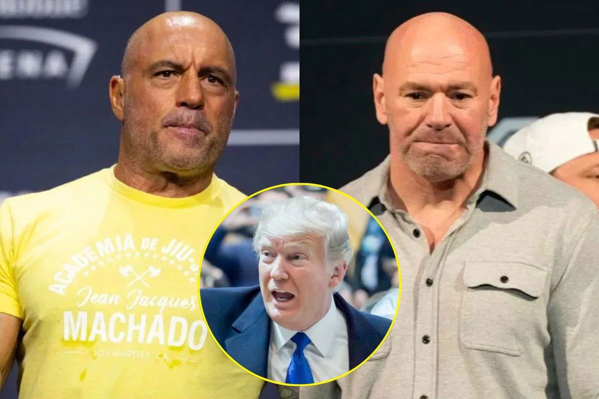 Dana White Exposed as Resurfaced Joe Rogan Video Contradicts Donald ...