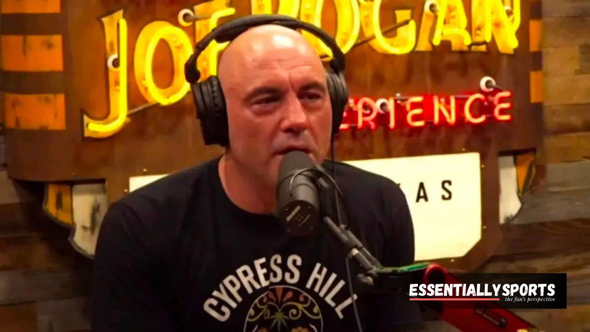 “It’s So Disgusting, Just Toxic Waste”- Joe Rogan, Jenni & WIll Harris ...
