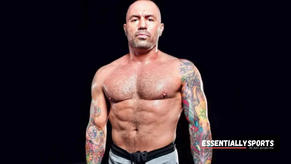 ‘Student’ Joe Rogan Tagged the Greatest Martial Artist to Have Never ...