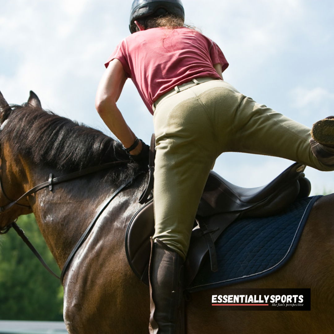 "Potential Collision": After 13 Crashes, Equestrian Community Reports ...