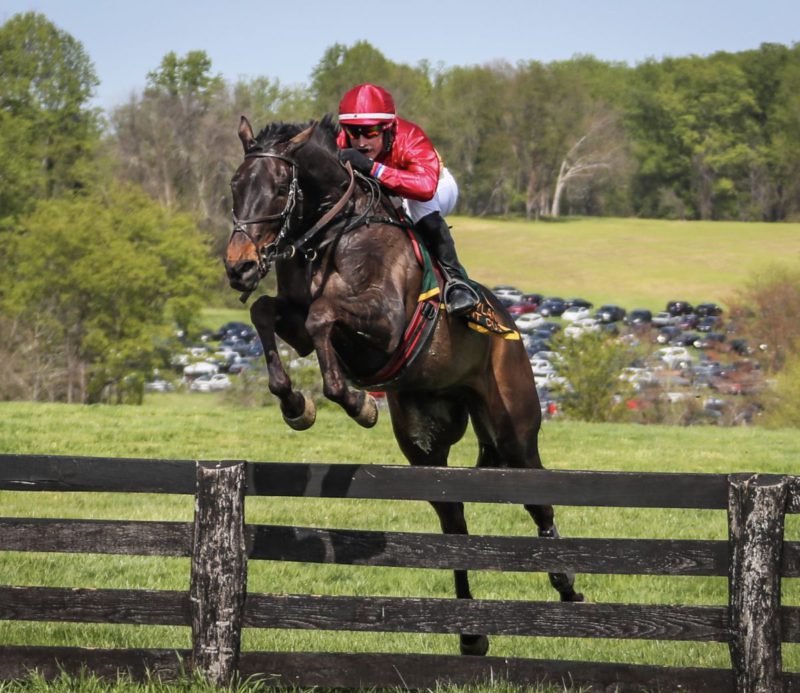 “Wanted to Feel That Rush Again”: Equestrian Aims to Continue Family’s ...