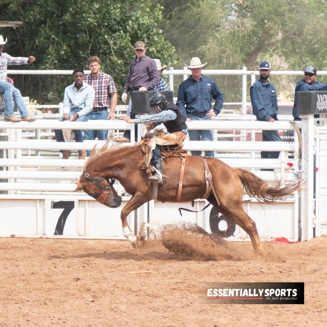 “A Great Honor”: 75-Year-Old Colorado Rodeo Legend Secures Yet Another ...