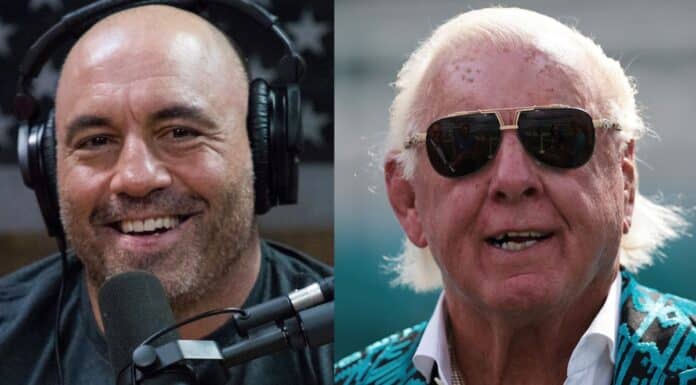 “MMA People Need to Stop..”: Fans Go Wild as Ric Flair Challenges Joe ...