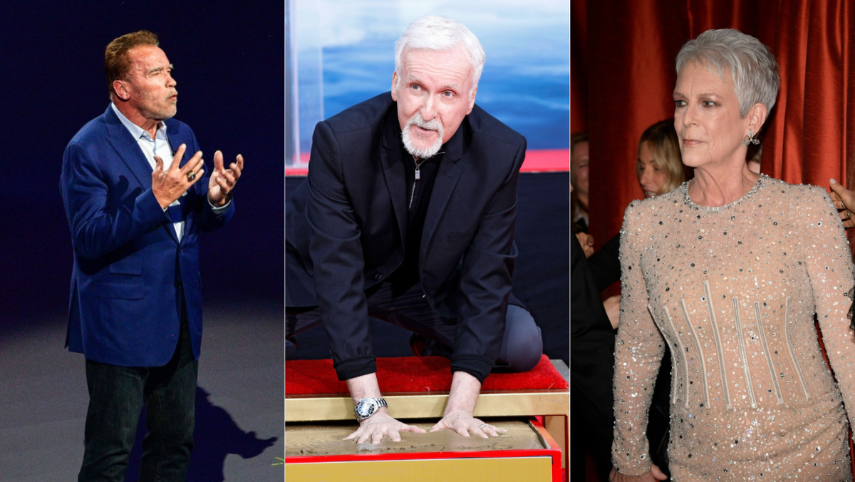 Despite 48 Stunt Professionals, James Cameron Nearly Risked Arnold ...