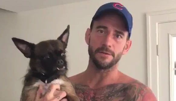Who Is CM Punk’s Dog Larry & Why Is He So Important? - EssentiallySports