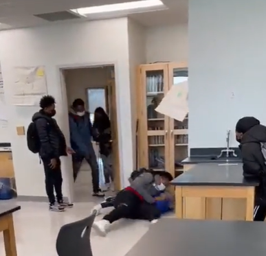 VIDEO: 2 High School Kids Engage in an Intense Dog Fight in the ...