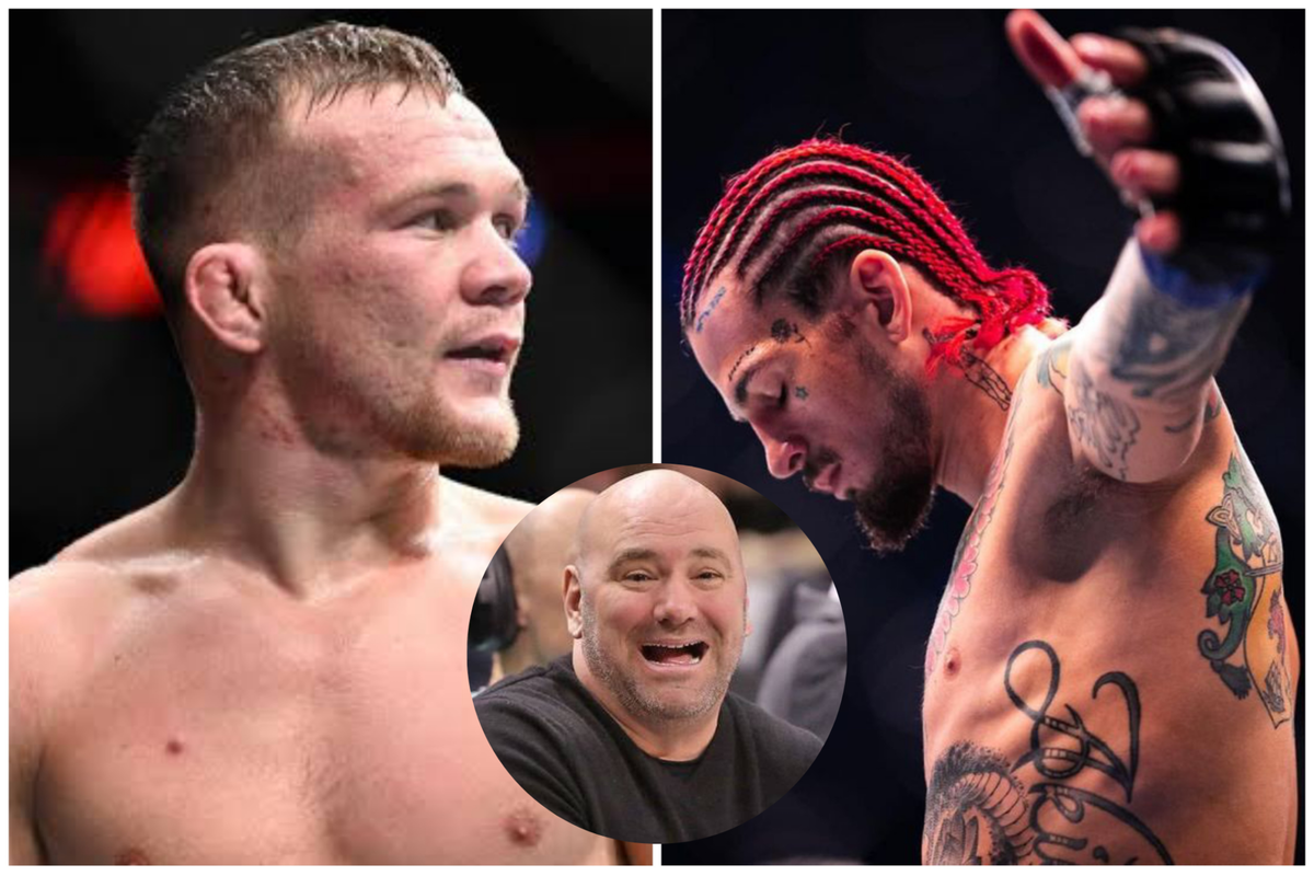 “Delusional”: Fans Roll Their Eyes to Sean O’Malley Recreating the ...