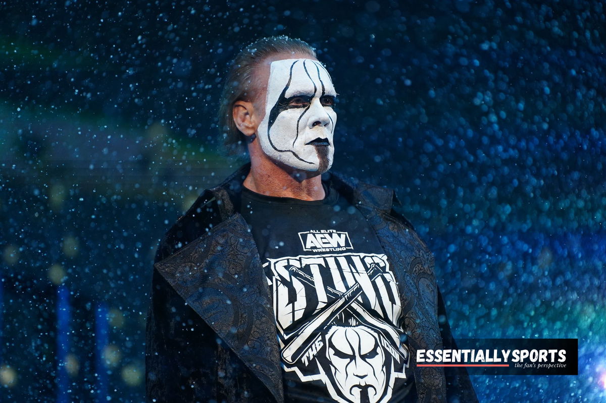 Why Sting Is One of the Most Important Characters in the History of ...