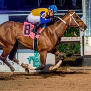 Joel Rosario Archives - EssentiallySports