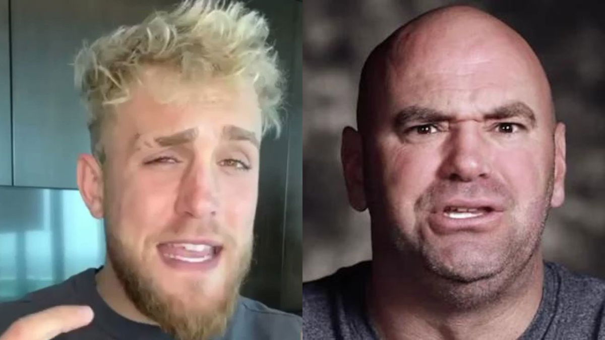 Jake Paul Trolls UFC President Dana White After His Statement Claiming ...