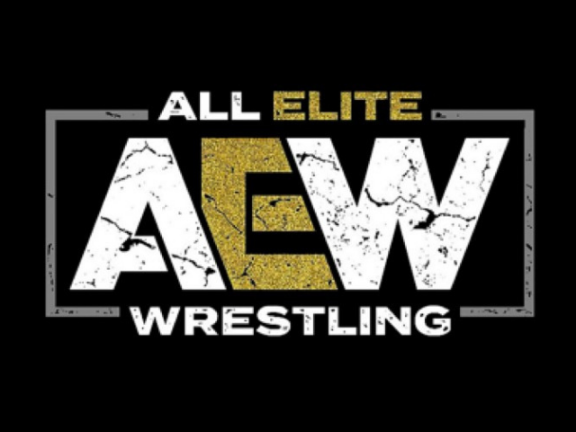 WWE Hall of Famer's Twin Sons Prepare for Huge AEW Debut ...