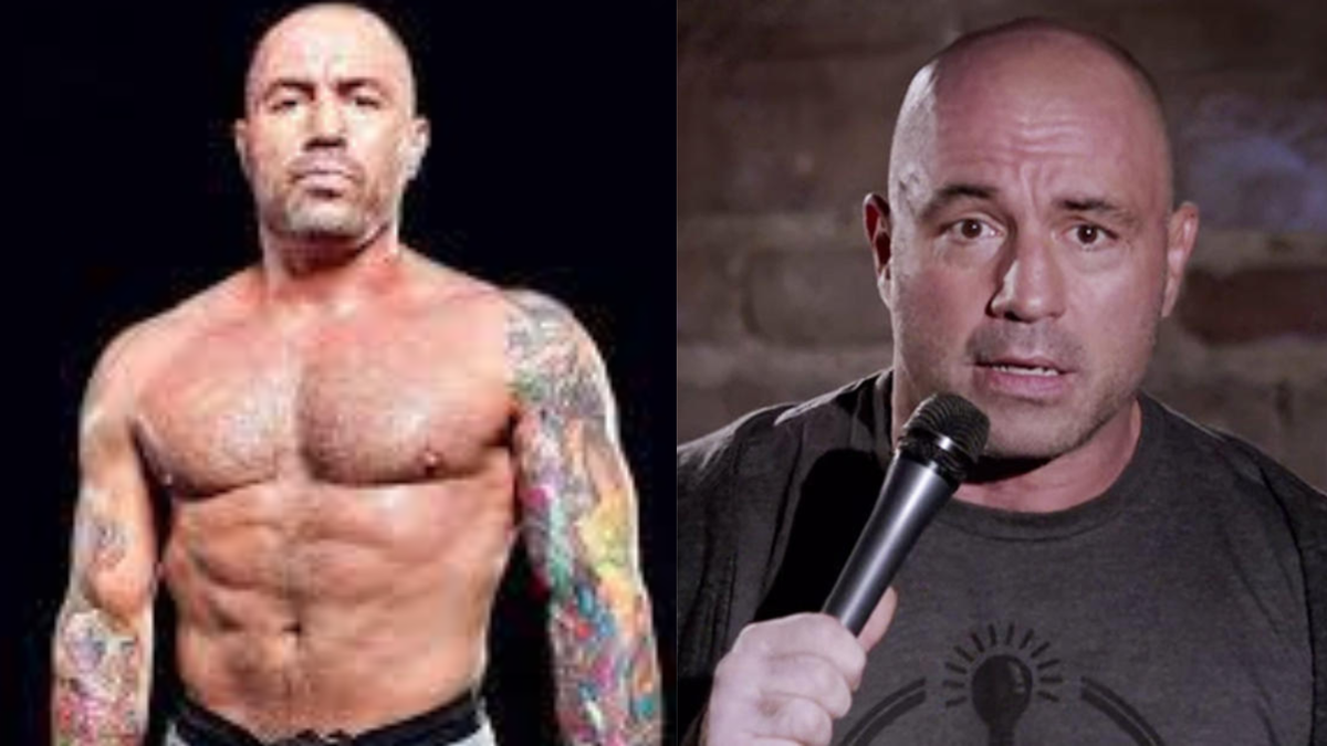 Despite Knocking Out His Opponent Clean, Joe Rogan Was Once Left ...