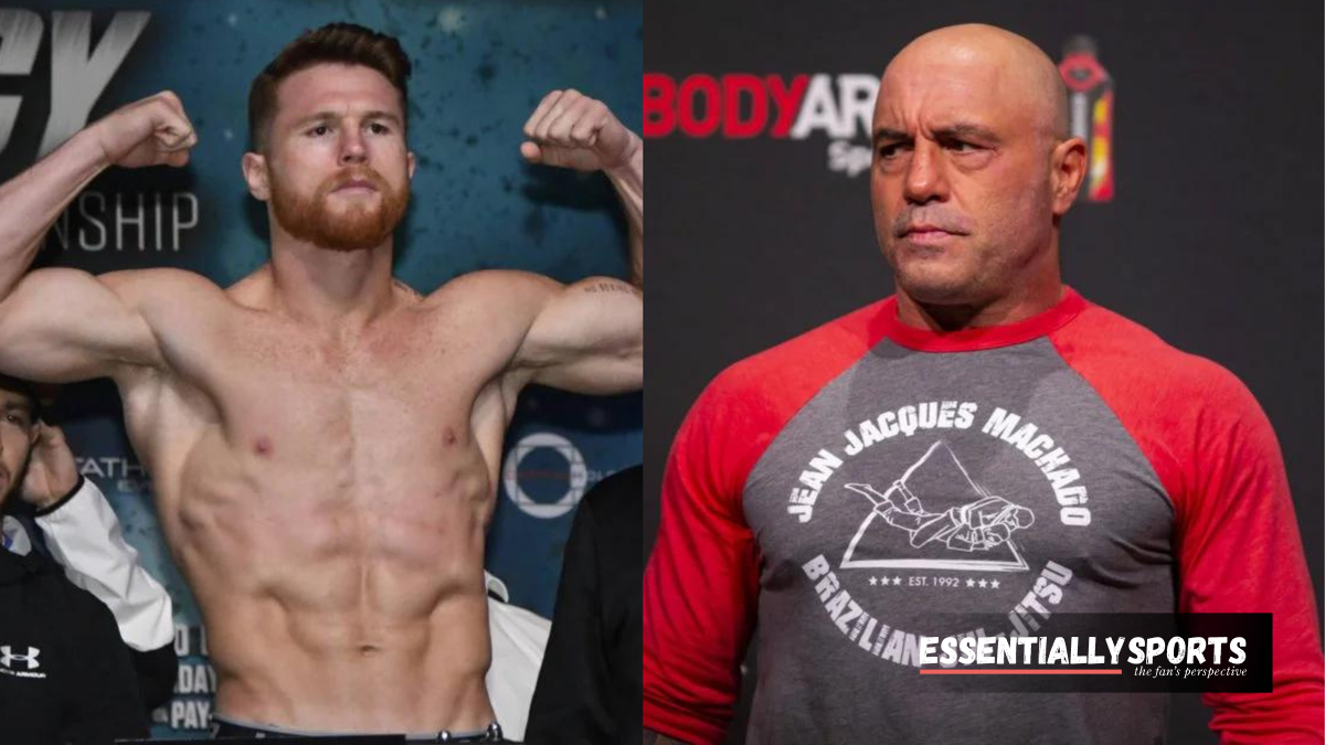 Joe Rogan Explains Canelo Alvarez’s ‘Wicked Liver Punch’ That Shuts Off ...