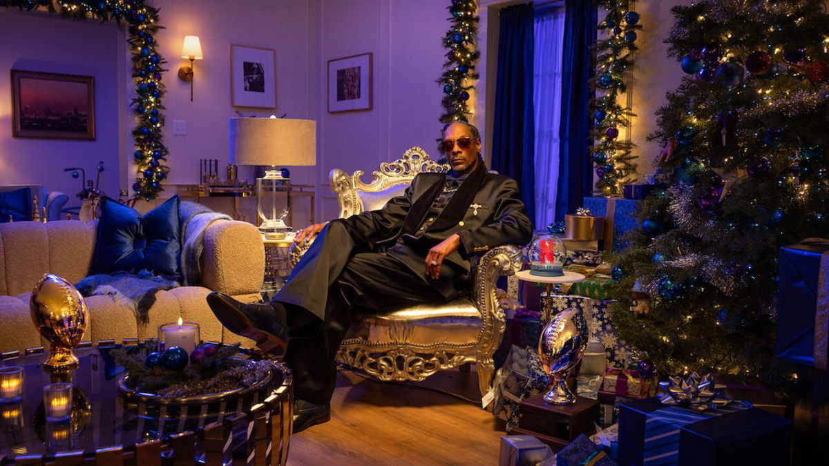 How Much Is Snoop Dogg Earning For Christmas Halftime Performance ...