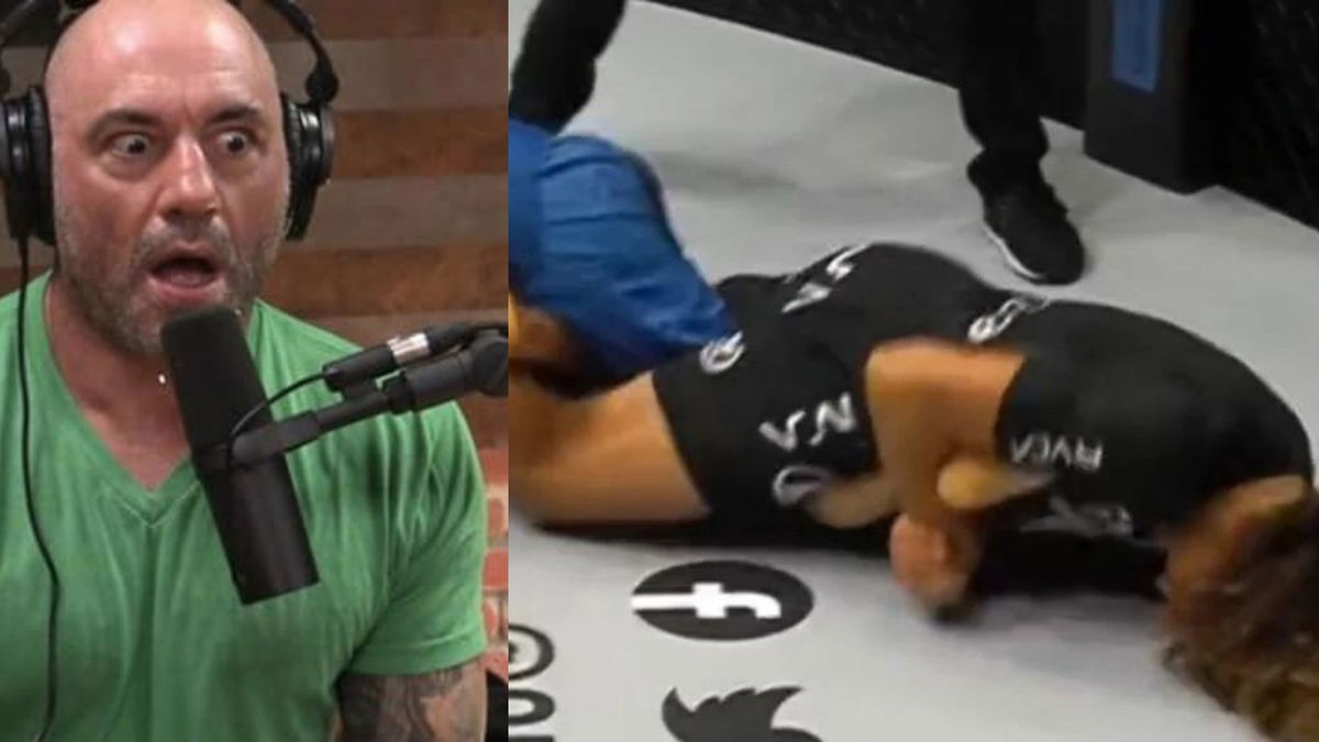 “19-Years-Old and They’re F*cking Everybody Up”- Joe Rogan Gives His ...