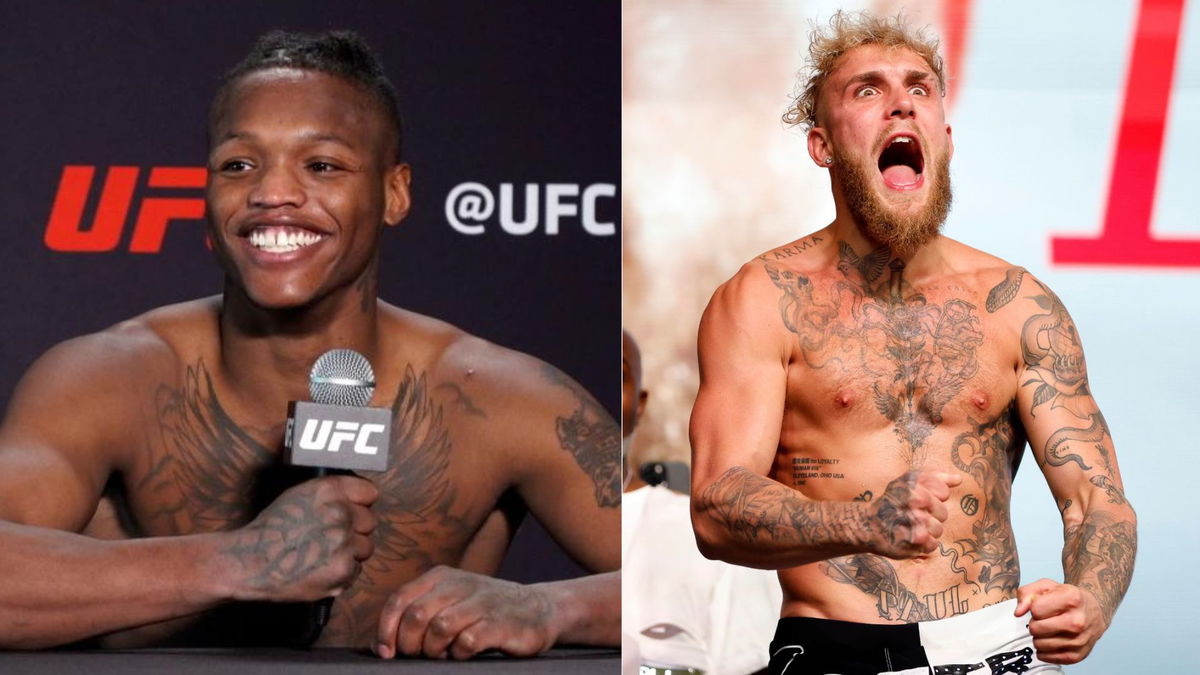 UFC Star Shares Video of Jake Paul and Famous UFC Reporter The Schmo ...