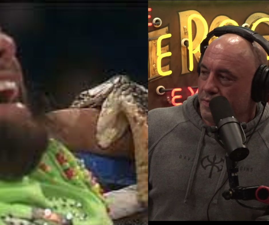 ‘Would Bite Me & Then It Would Be 30–40 Stitches’ – WWE Legend’s Decade ...