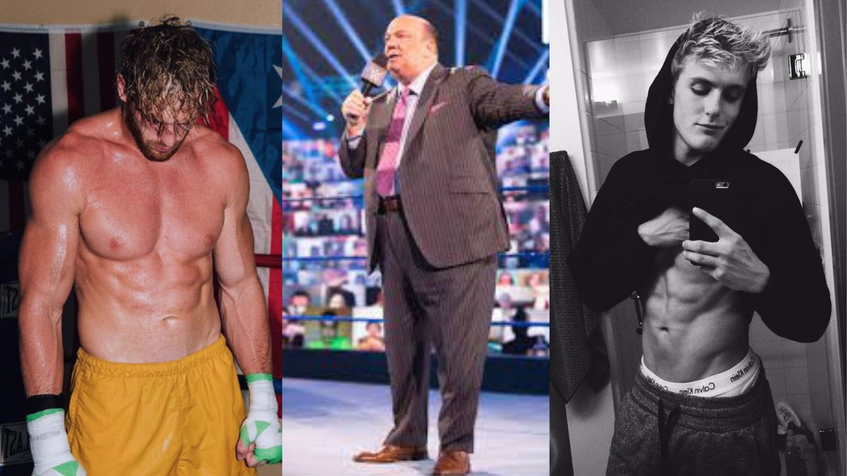 WWE Icon Paul Heyman Humiliates Logan Paul and His Brother Jake Paul in ...