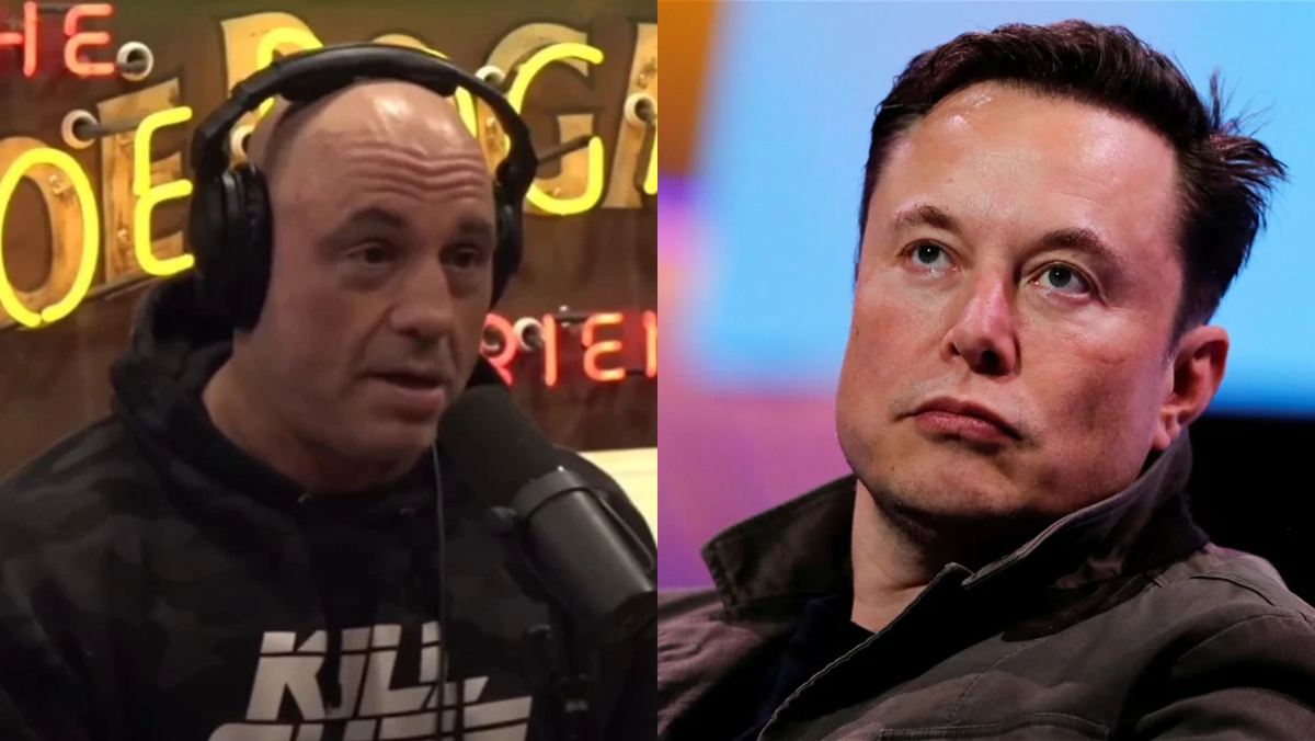 “They Wind Up Killing the Animals” – Joe Rogan in Dilemma As Elon Musk ...